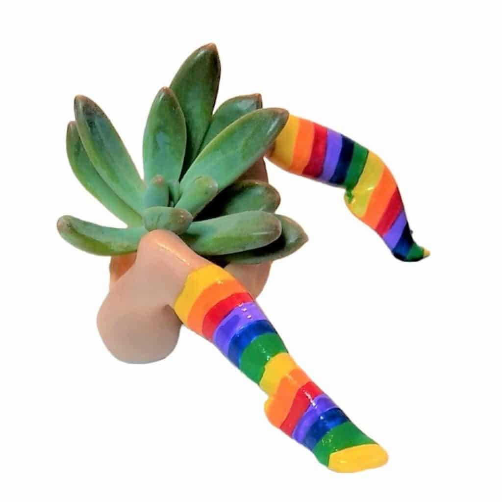 Buy Now | Mini Planter LGBTQ Rainbow with Plant | Plantly