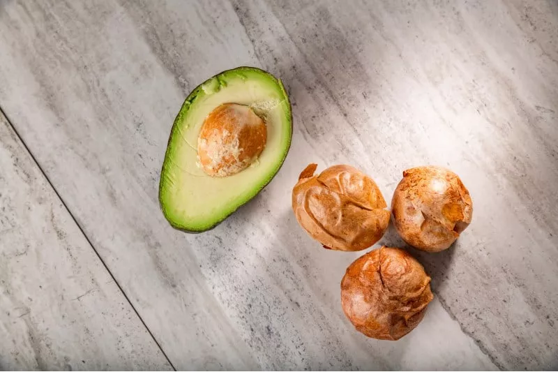 Transform an Avocado Seed into a Healthy Plant | Plantly