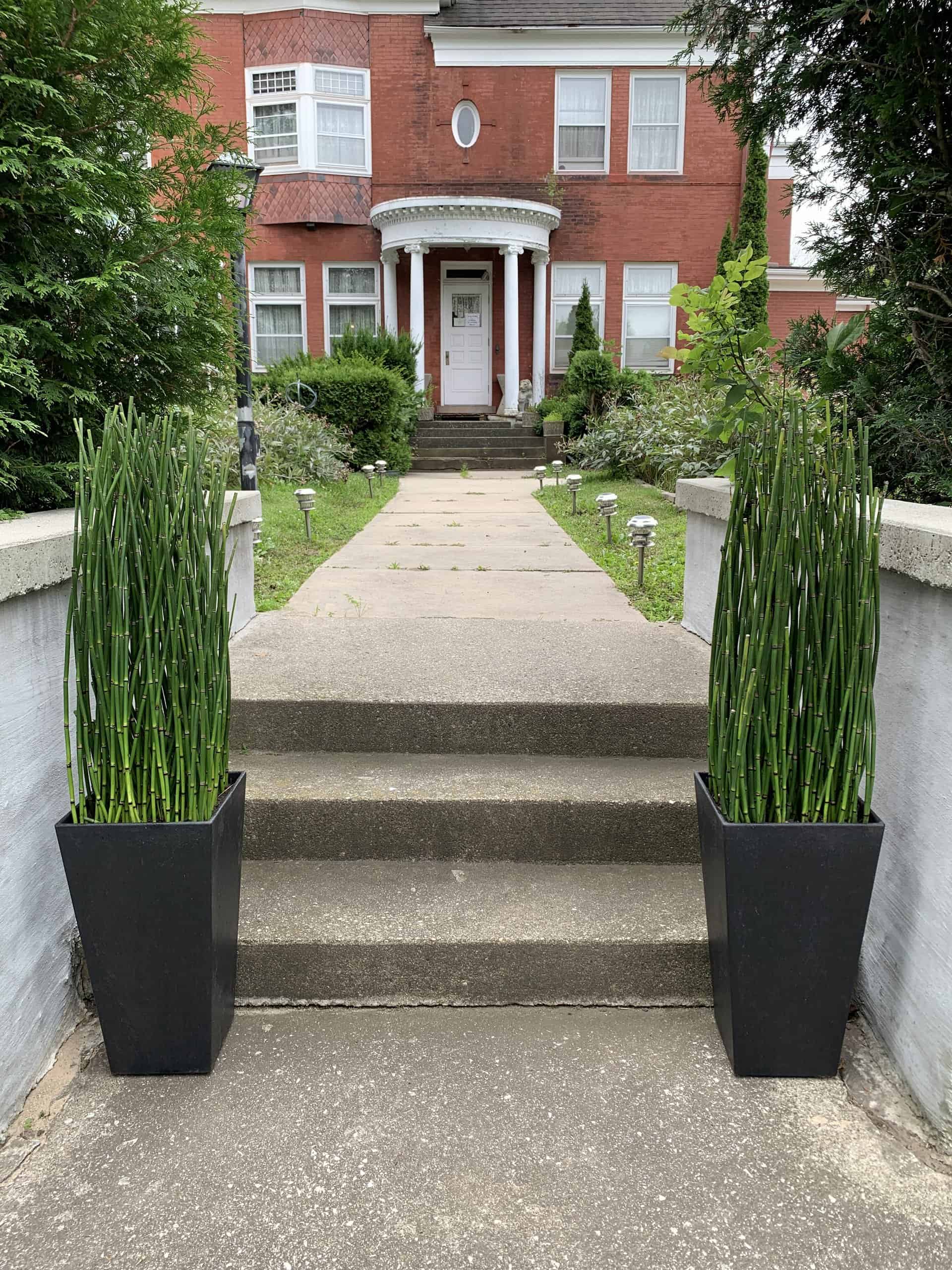 Horsetail Landscaping