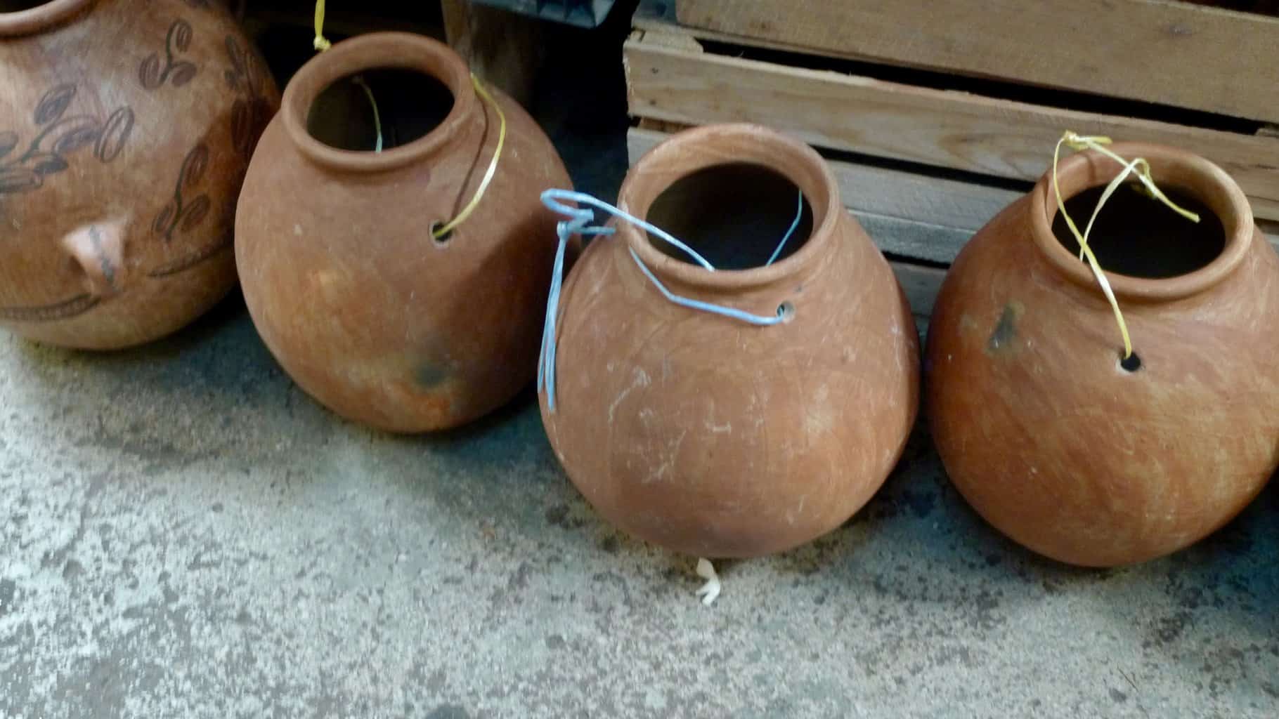 Olla Irrigation: Things To Know About Watering System