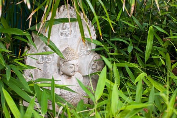 Bamboo Symbolism: Things You Should Know | Plantly