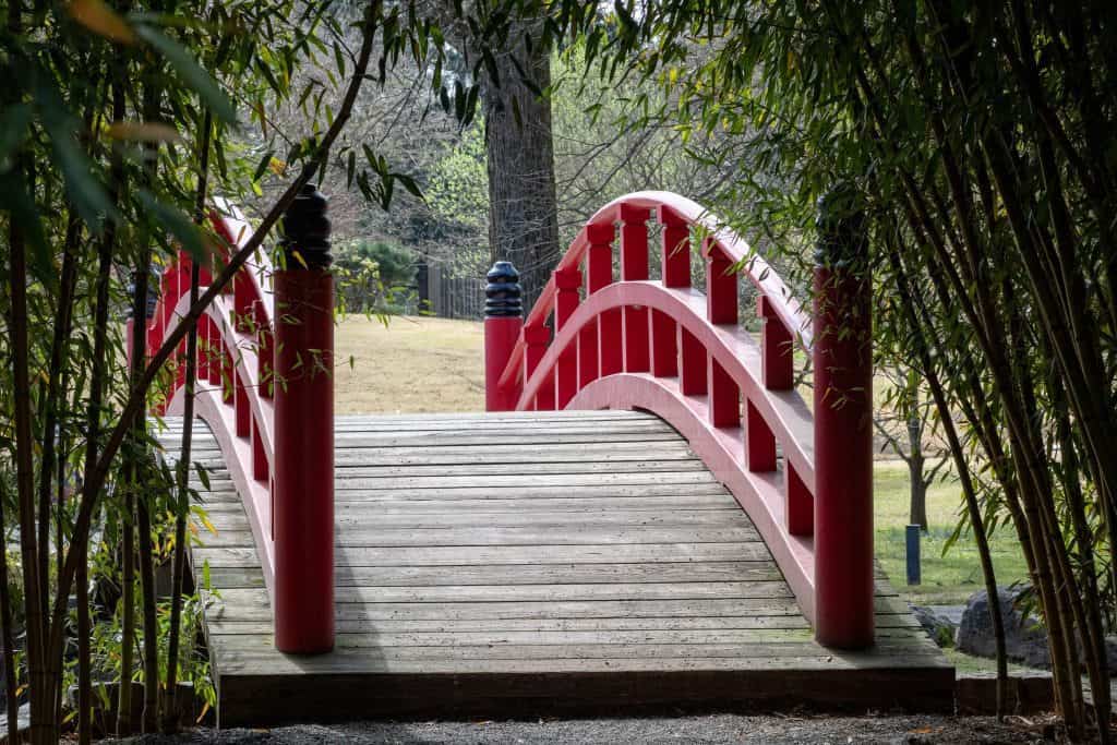 Bamboo Symbolism: Things You Should Know | Plantly