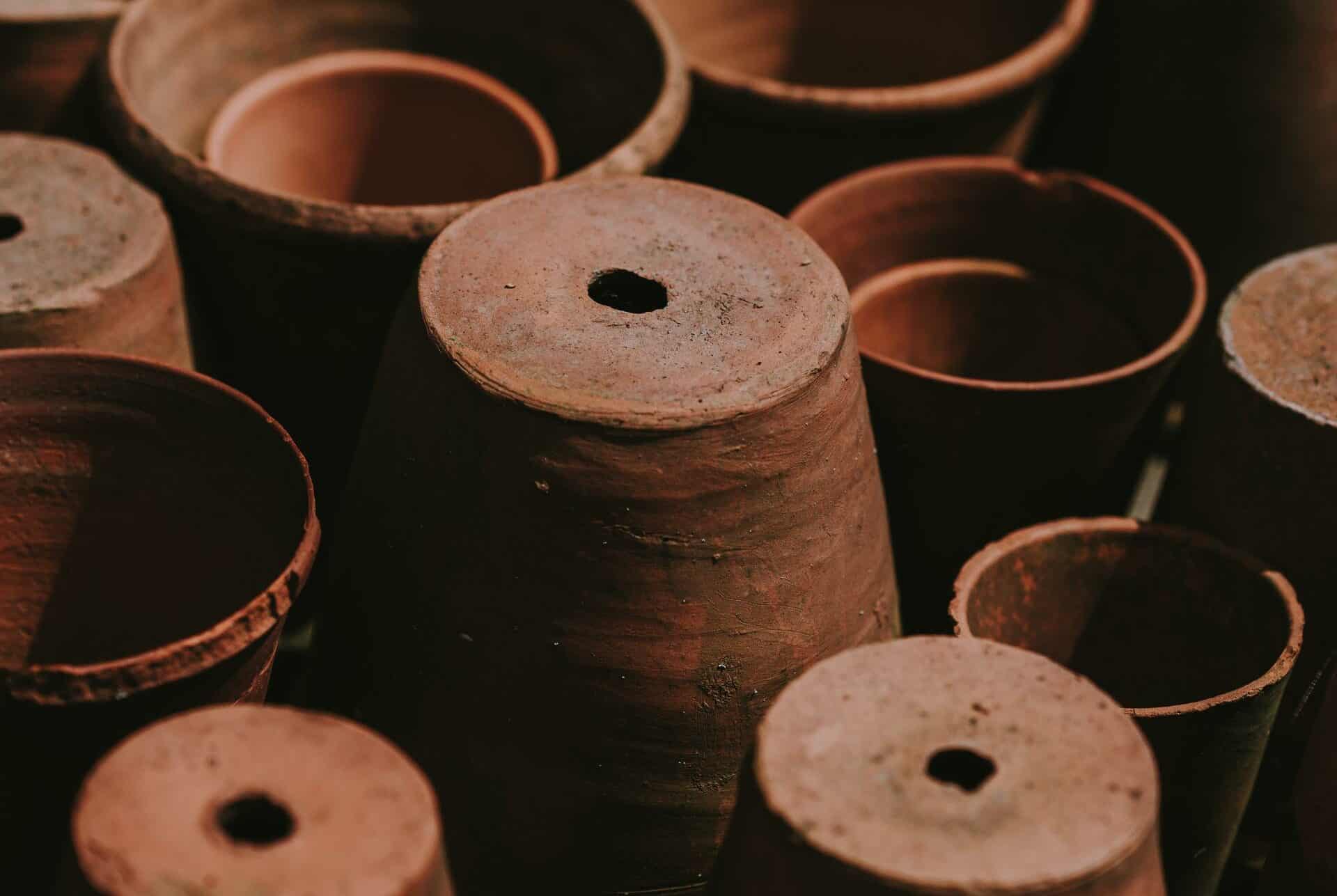 Ways to Improve Drainage for Plant Pots | Plantly