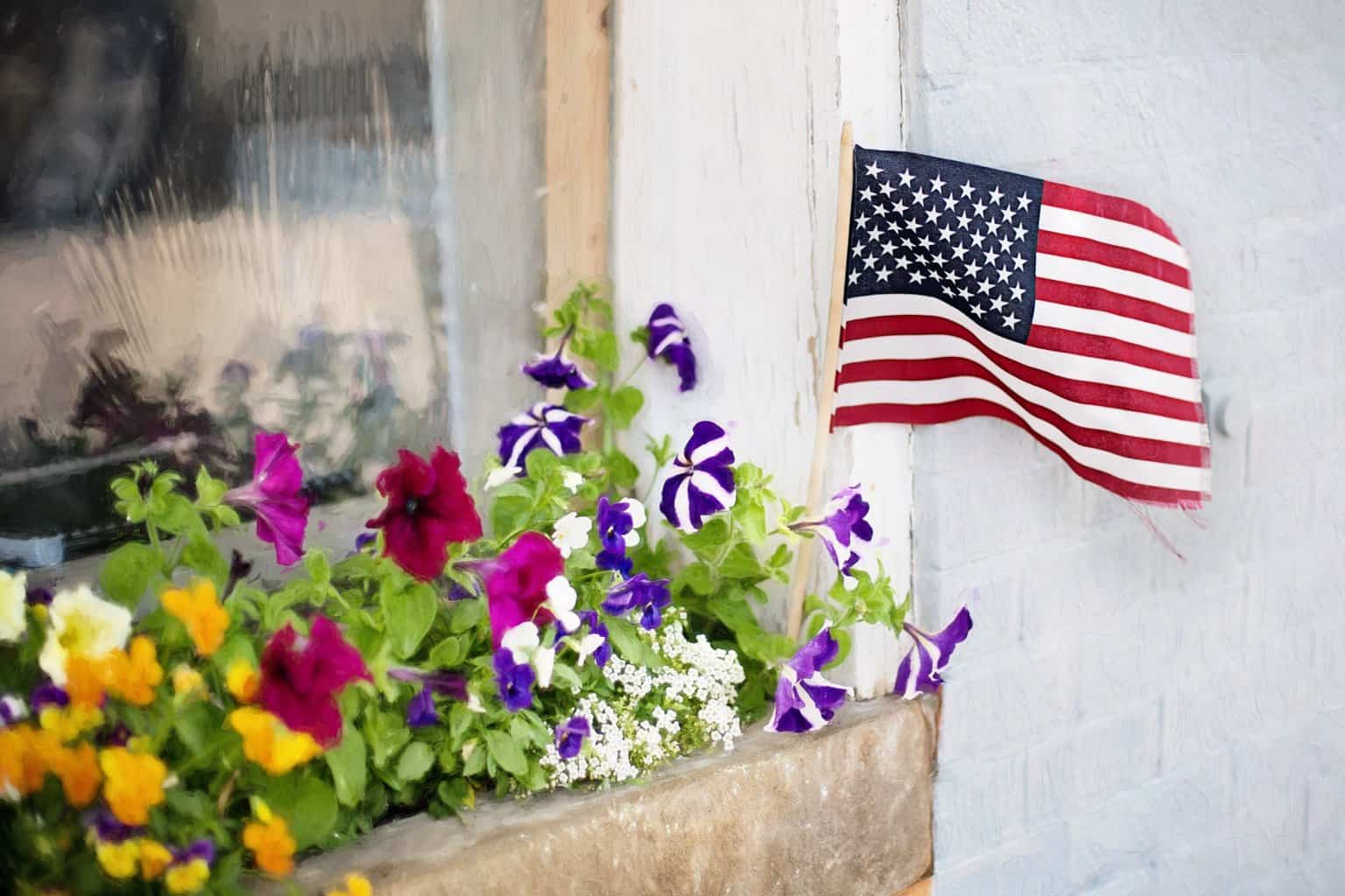 Best Plants in Celebrating Independence Day | Plantly