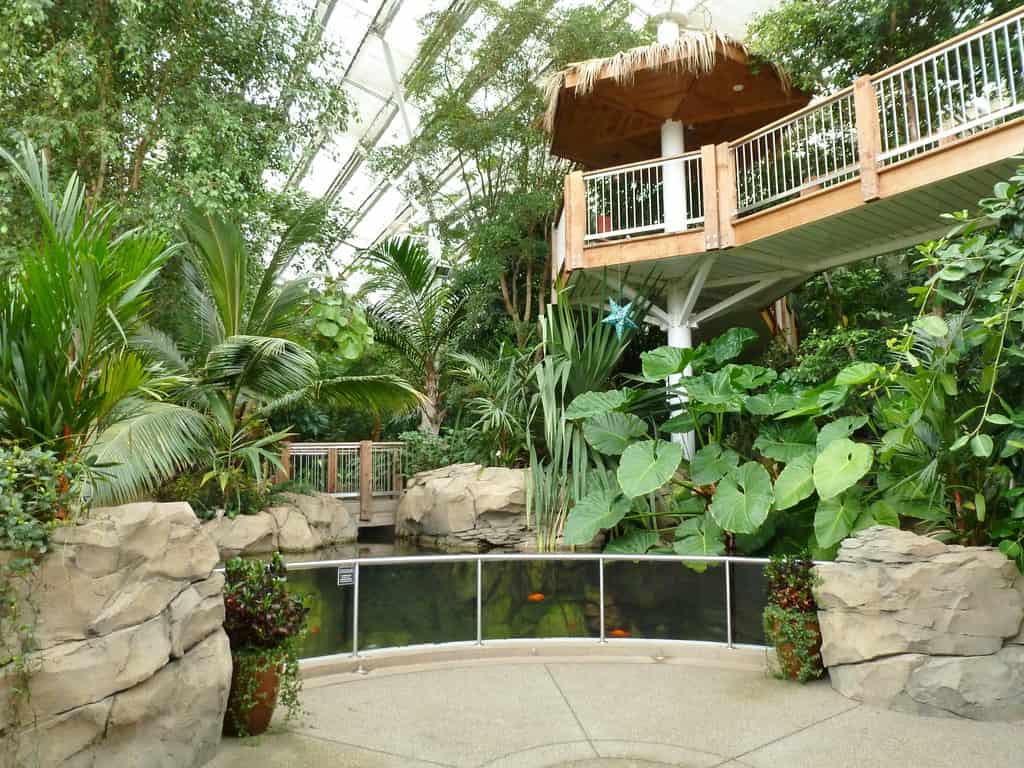 Pittsburgh Botanic Gardens: A Paradise on Earth | Plantly