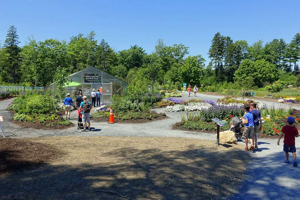 Coastal Maine Botanical Garden: Everything You Need to Know