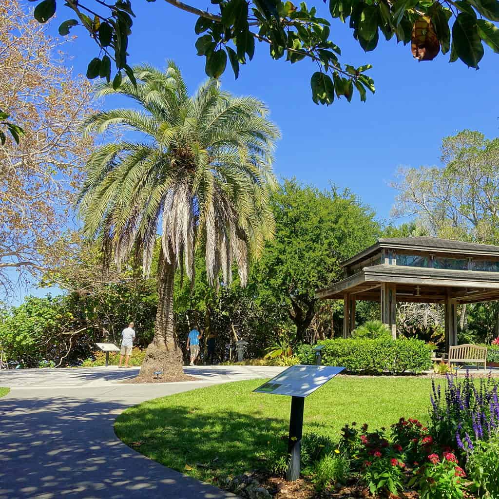 Marie Selby Botanical Gardens: Everything You Need to Know