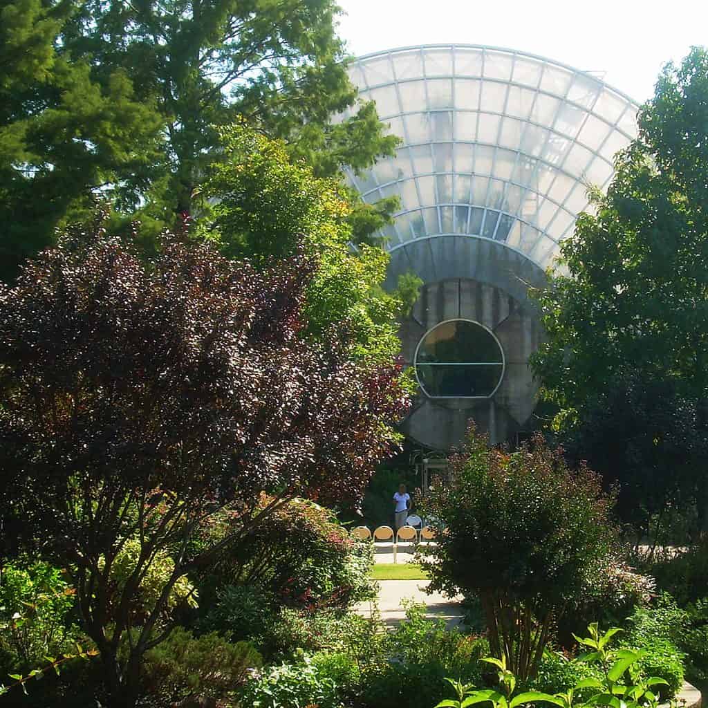 Explore The Beauty of Myriad Botanical Garden | Plantly
