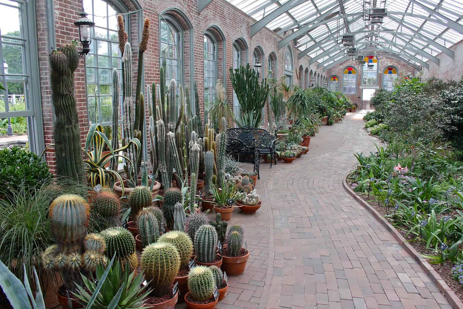 Missouri Botanical Garden: Everything You Need to Know | Plantly
