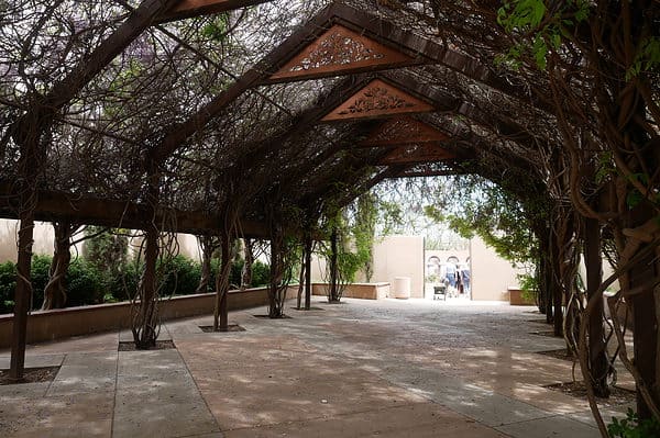 ABQ BioPark Botanic Gardens: Everything You Need to Know