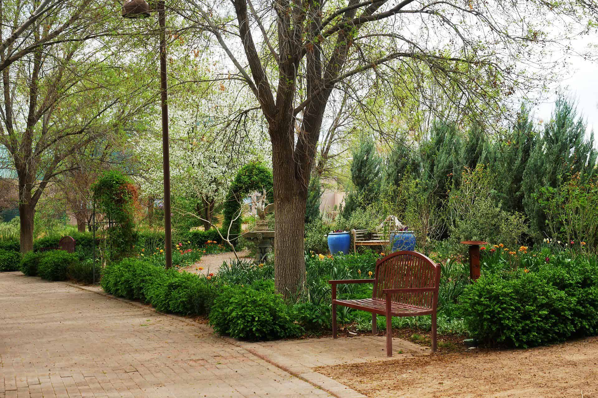 ABQ BioPark Botanic Gardens: Everything You Need to Know