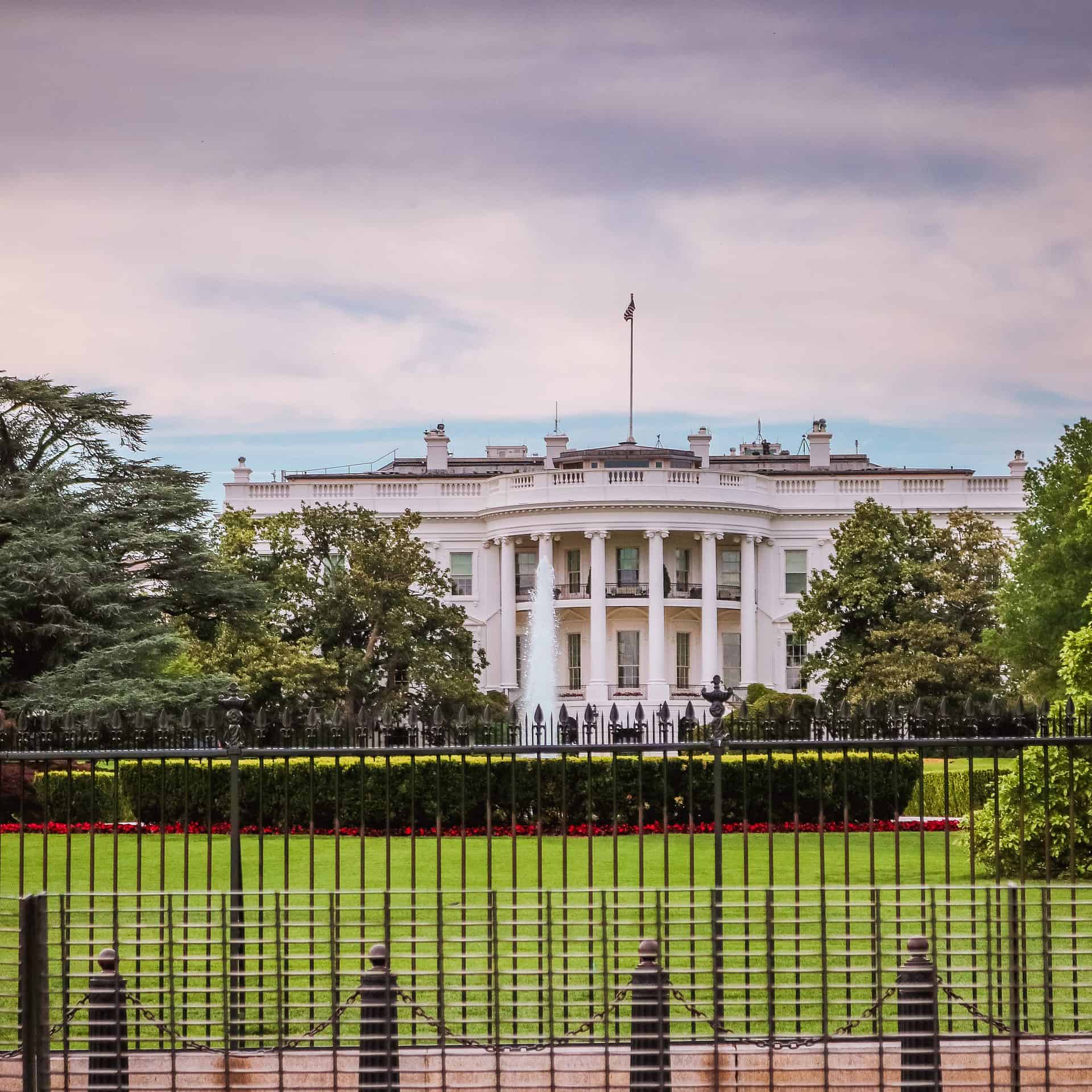 White House Presidential Trees | Plantly
