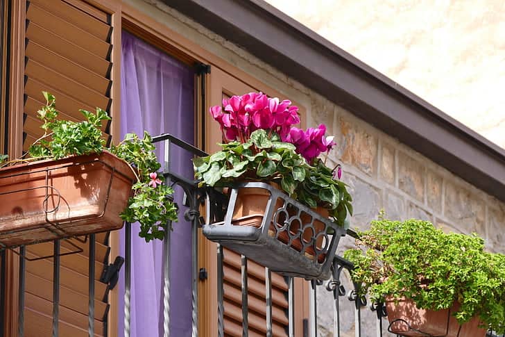 Amazing Balcony Planters Ideas | Plantly
