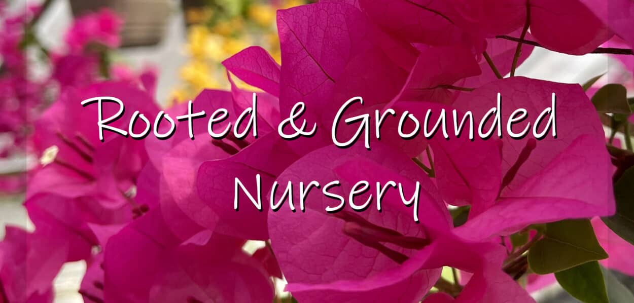 Rooted & Grounded Nursery