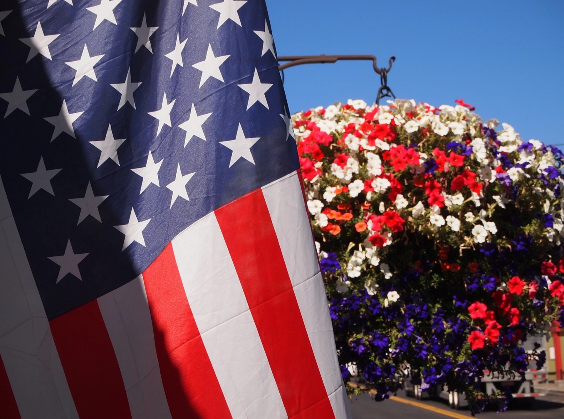 4th of July to Celebrate Independence Day Flowers | Plantly