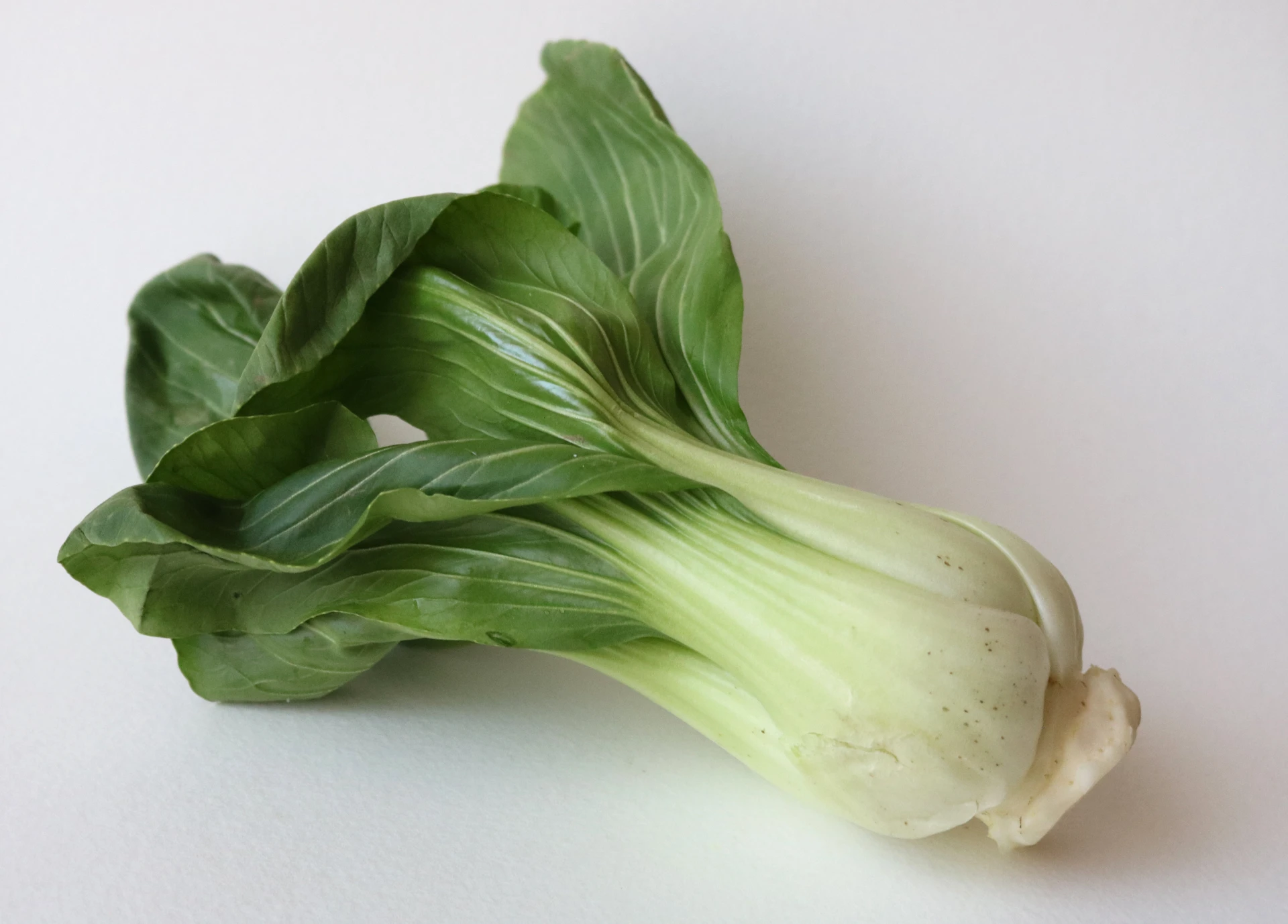 Top Asian Greens and Vegetables: A Complete Guide | Plantly